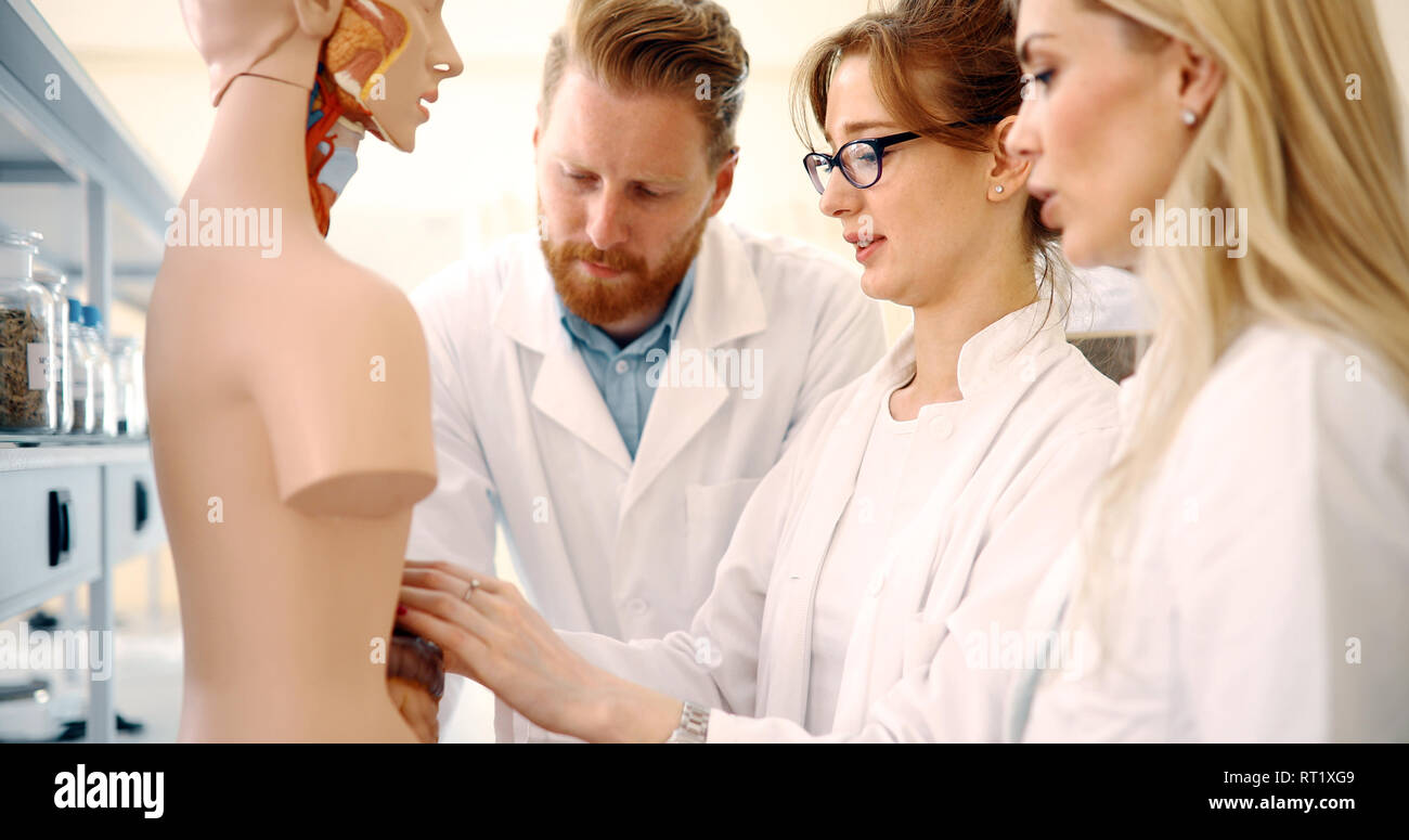 Students of medicine examining anatomical model in classroom Stock ...