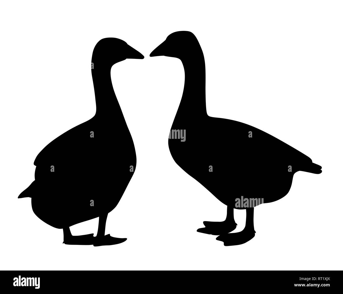 Two geese couple Stock Vector Image & Art - Alamy