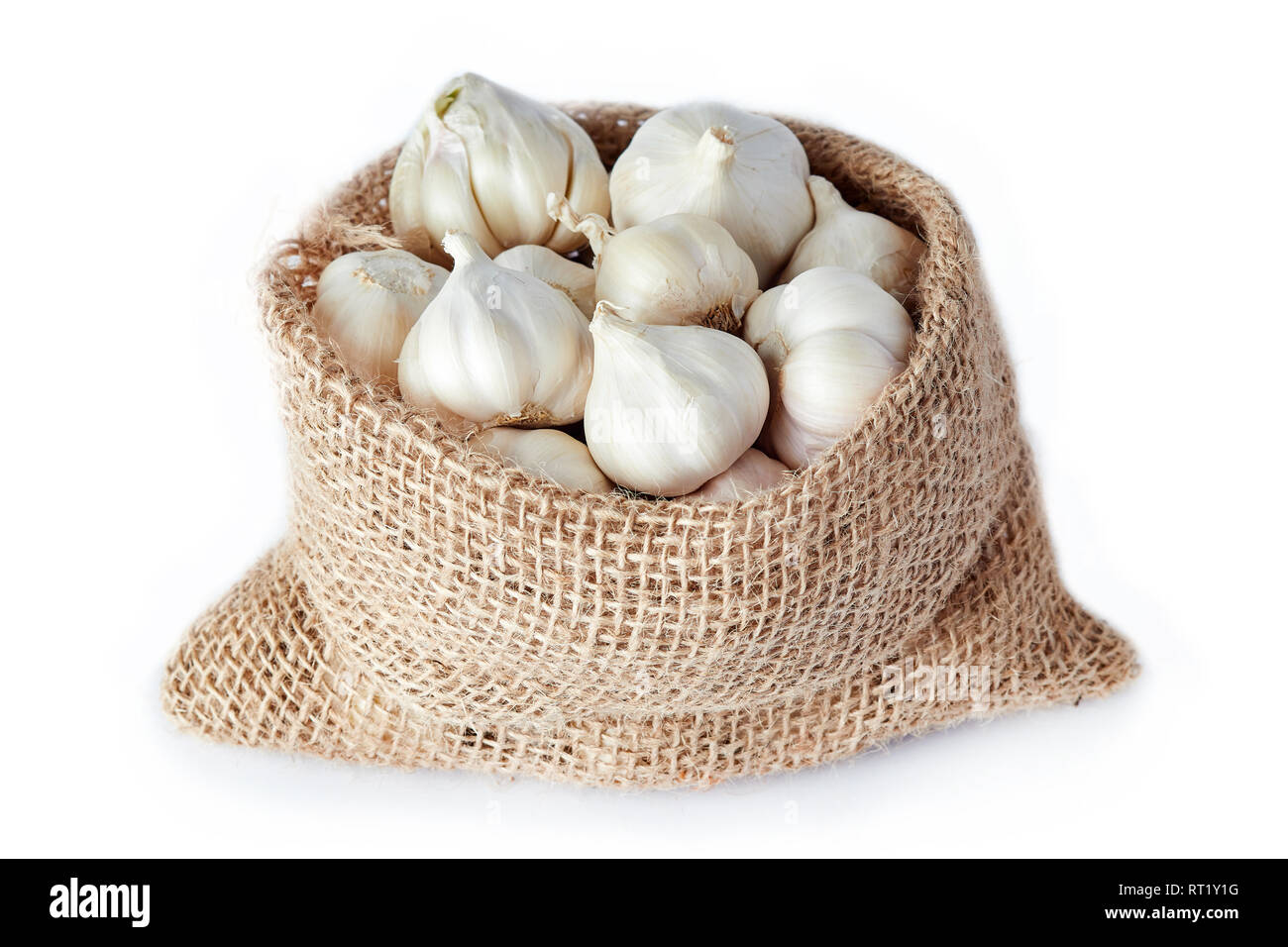 Raw organic garlic (Allium sativum) in burlap sack isolated on white ...