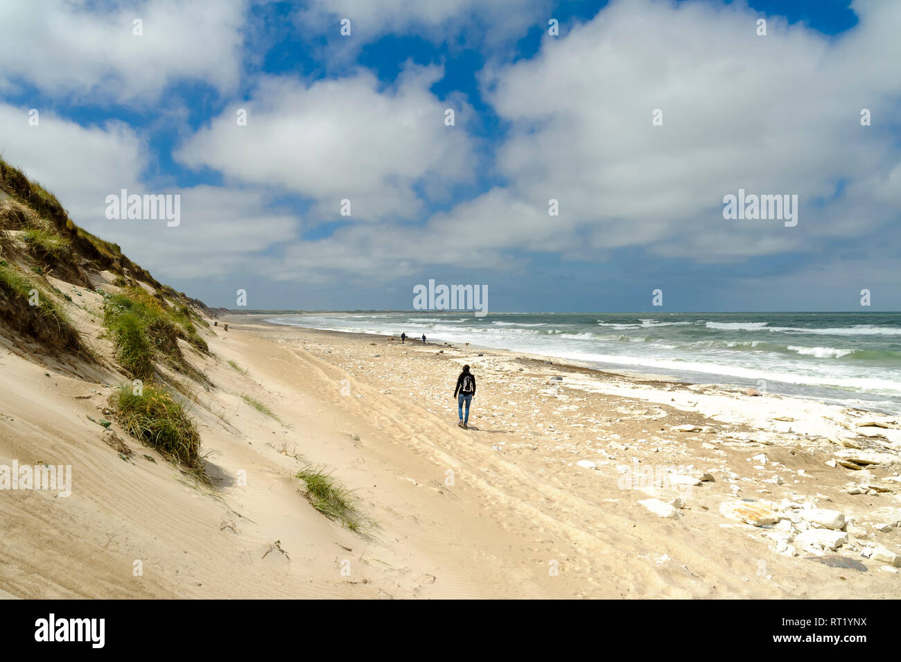 Denmark, Jutland, woman walking on the beach Stock Photo - Alamy