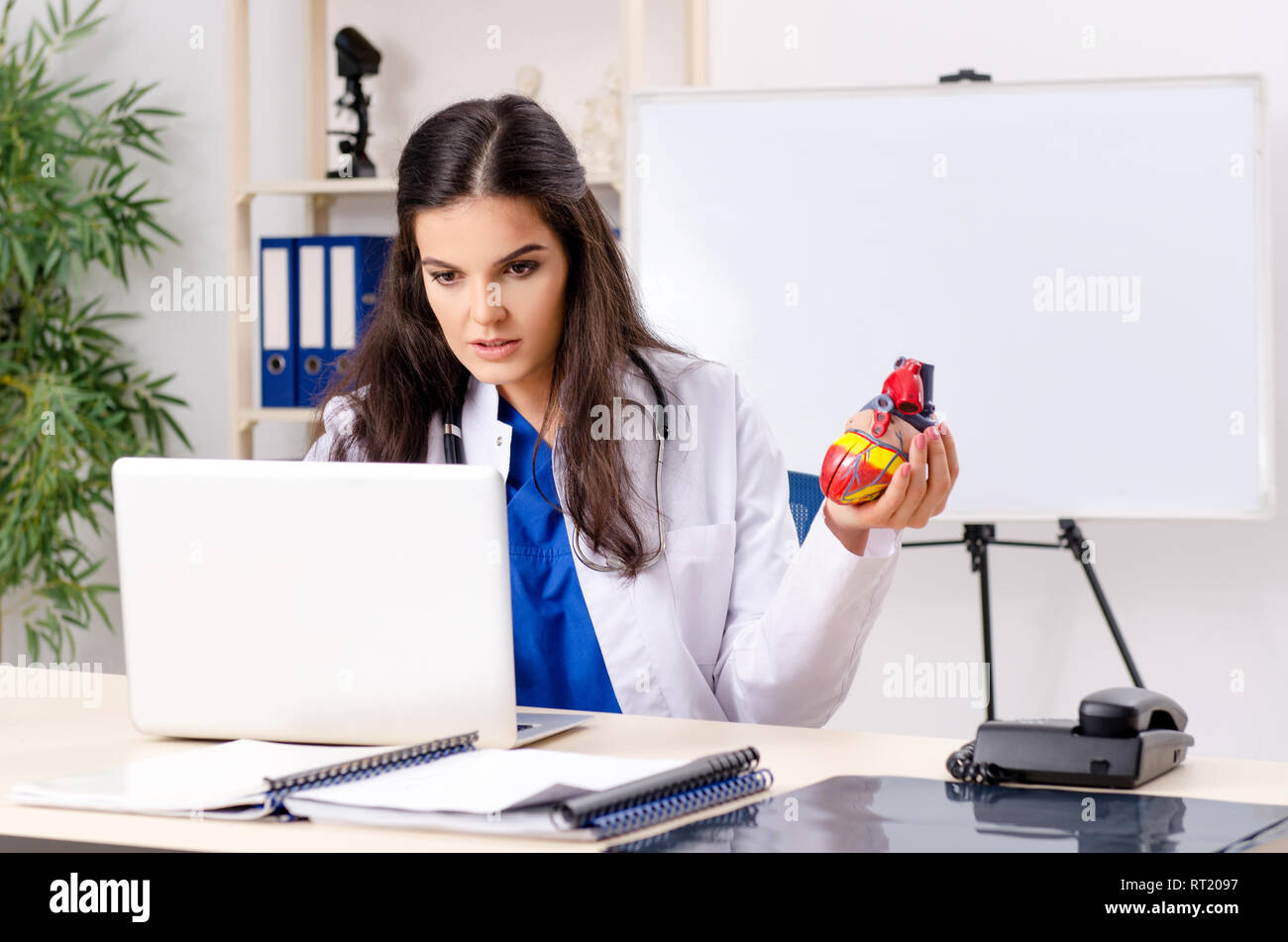 Female doctor cardiologist working in the clinic Stock Photo - Alamy