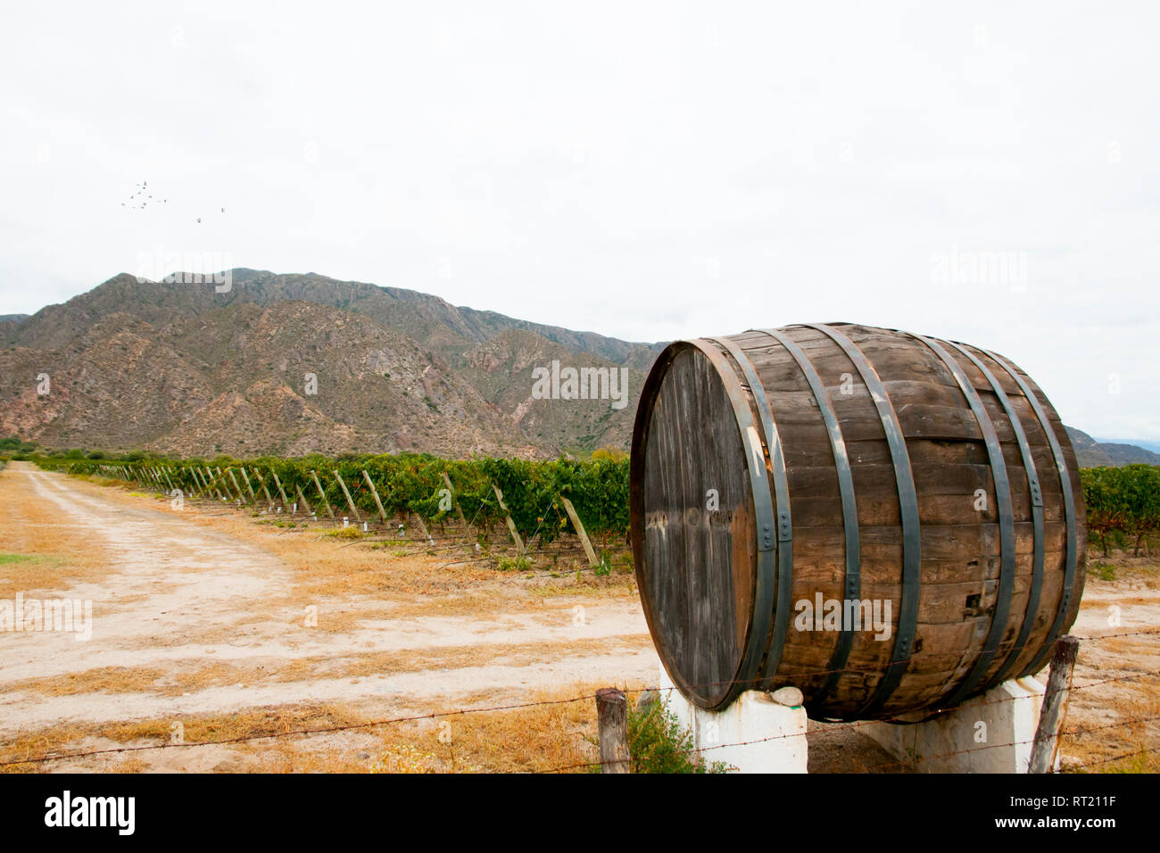 Cafayate valley hi-res stock photography and images - Alamy