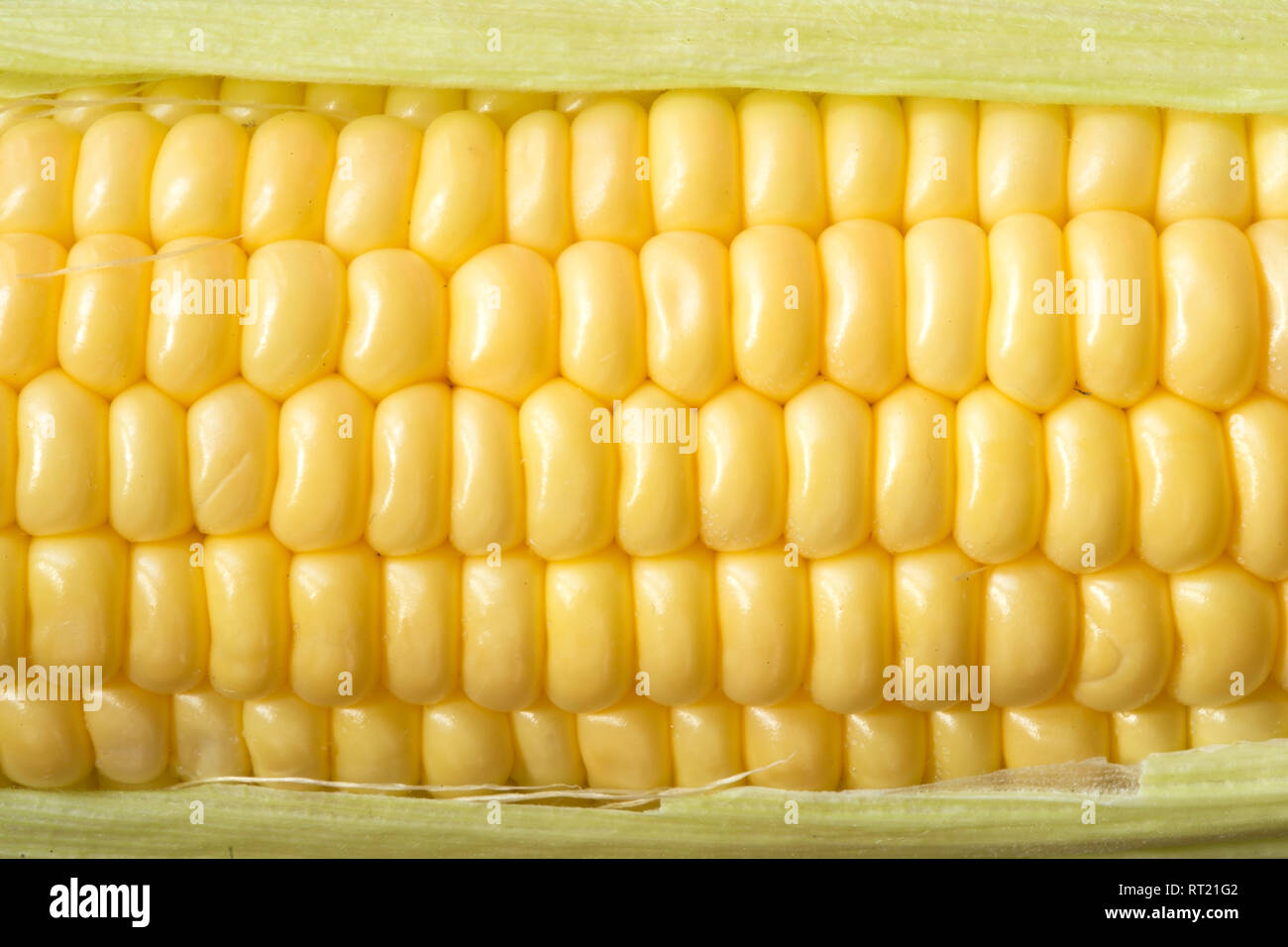 Corn ear texture hi-res stock photography and images - Alamy