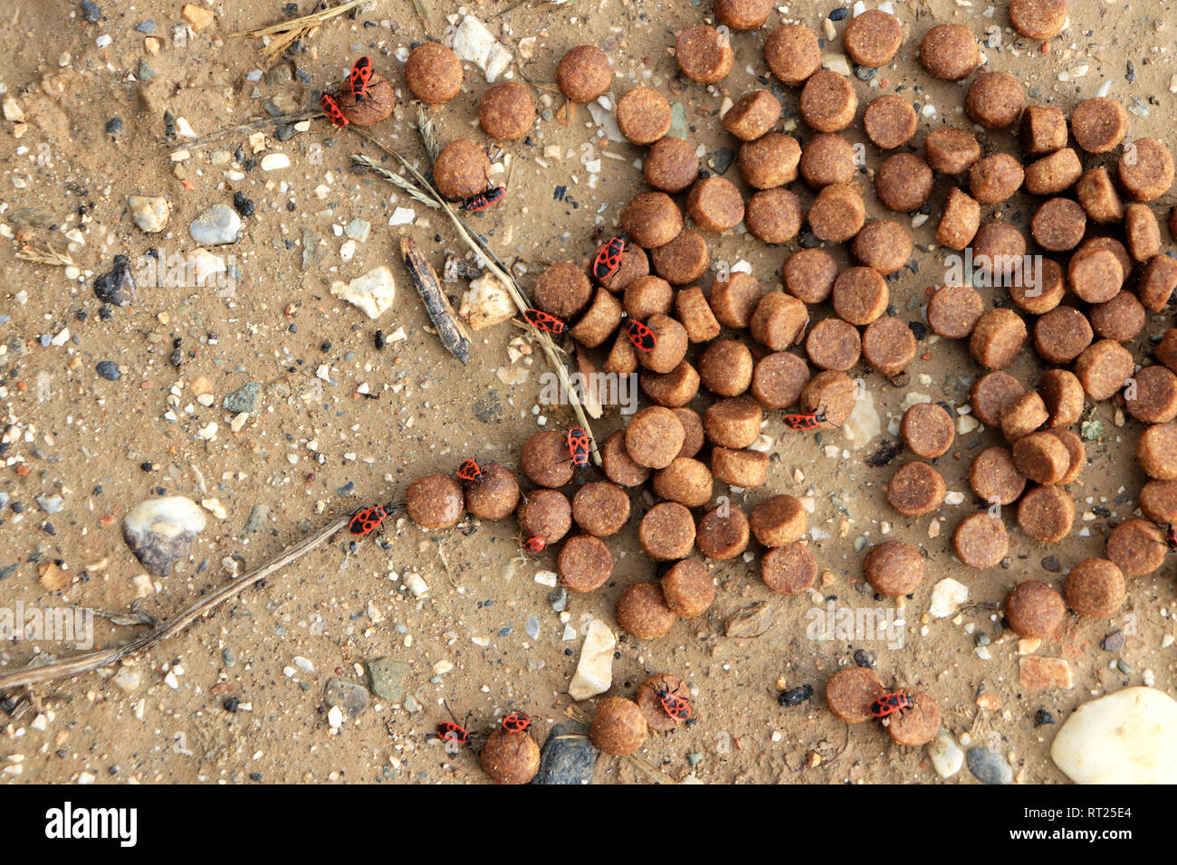 Eat graphic hi-res stock photography and images - Alamy