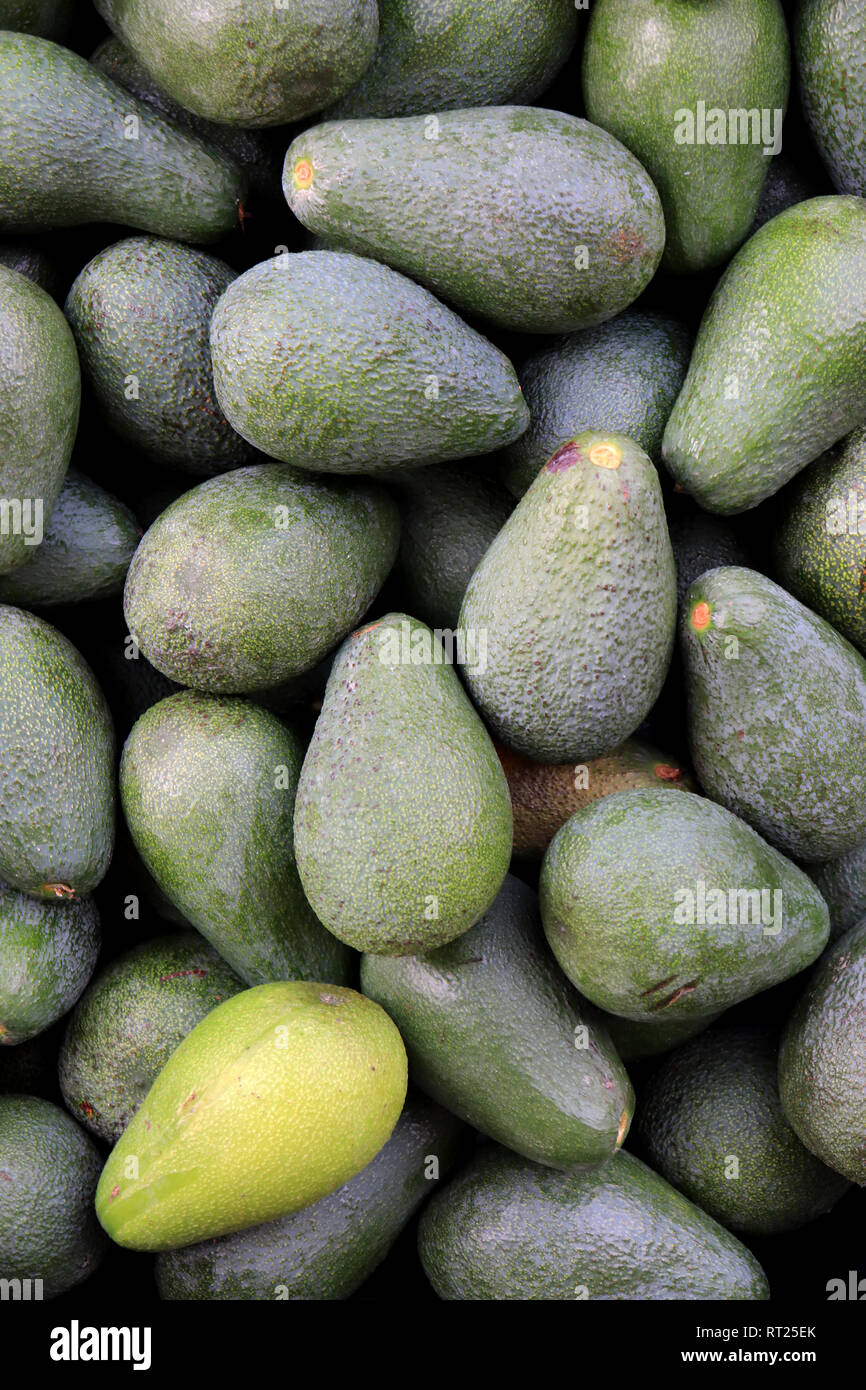 Many avocado texture. Avocado showcase background Stock Photo - Alamy