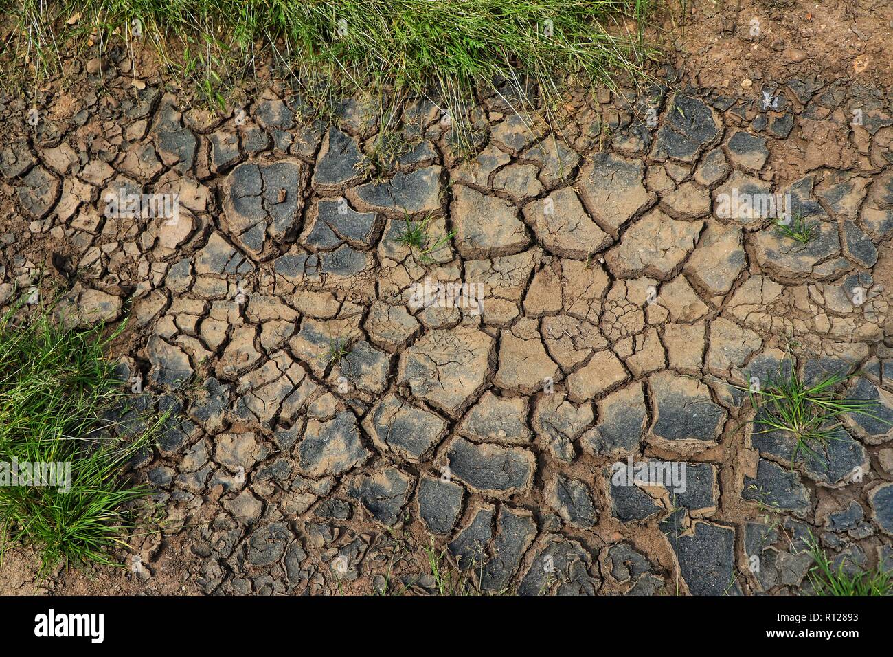 Cracked mud hi-res stock photography and images - Alamy
