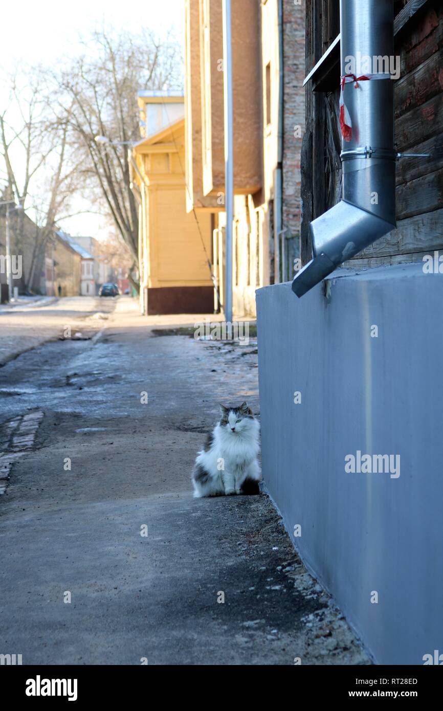 Early spring street scene in Latvia, Europe Stock Photo - Alamy