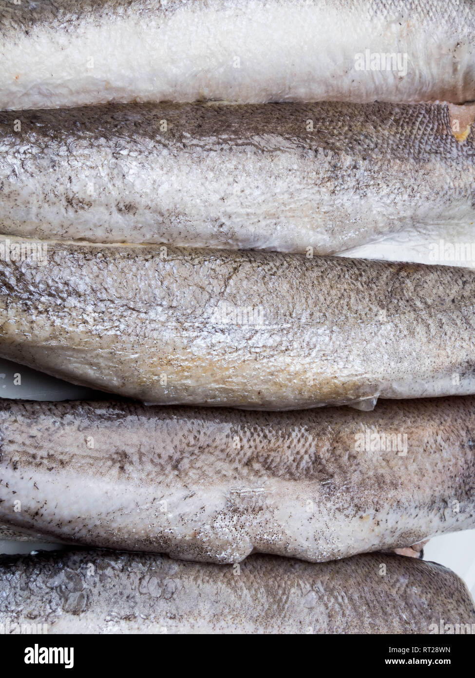 Frozen hake fish as food background Stock Photo - Alamy