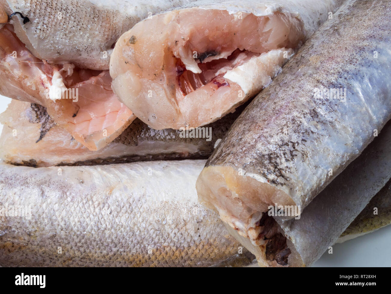 raw fish hake, healthy white fish concept Stock Photo - Alamy