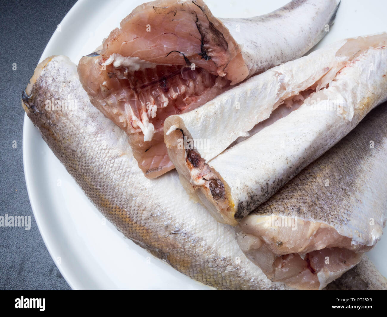 raw fish hake, healthy white fish concept Stock Photo - Alamy
