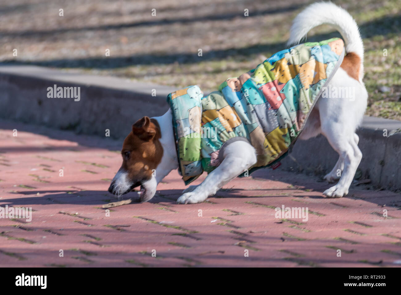 Beach frolics hi-res stock photography and images - Alamy