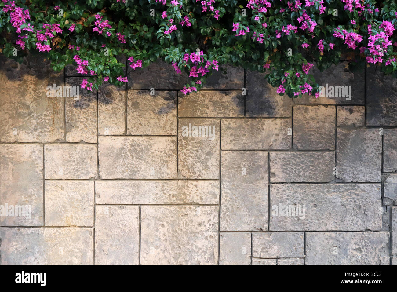 Stucco flowers hi-res stock photography and images - Alamy
