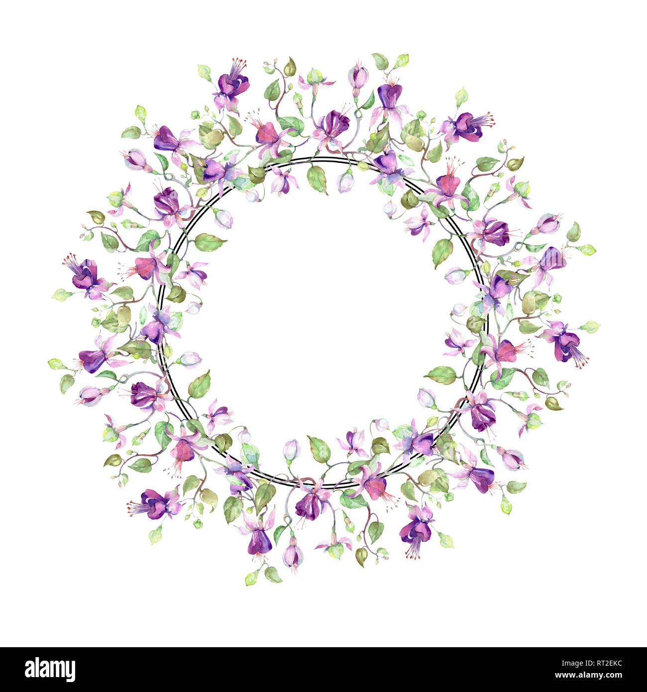 Purple fuchsia bouquet. Floral botanical flower. Watercolor background ...