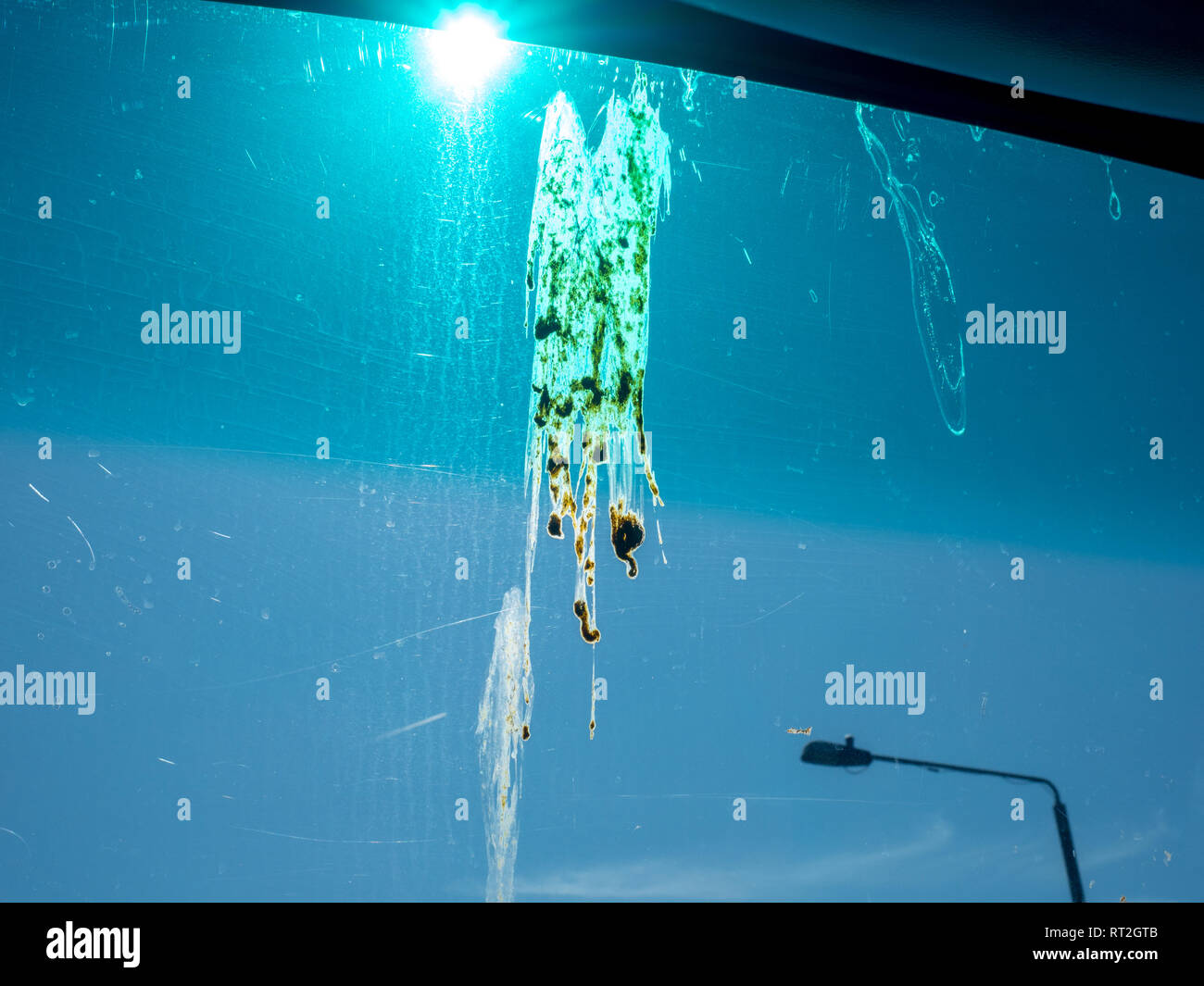 A bird poo on the window of a London bus Stock Photo - Alamy