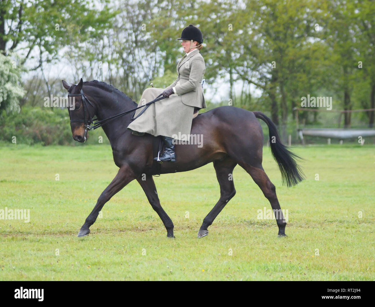 Victorian lady riding side saddle hi-res stock photography and images ...