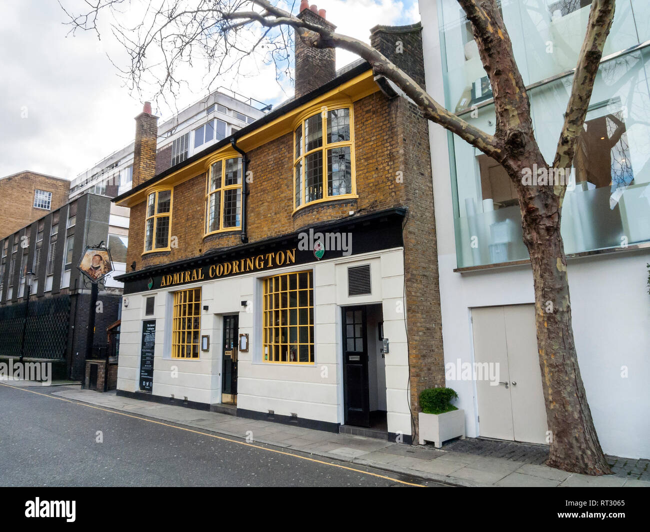Admiral Codrington Gastropub, Mossop Street, London Stock Photo - Alamy