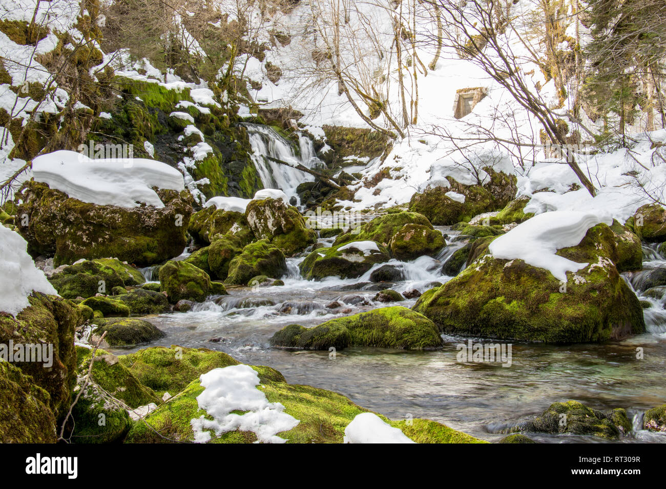 spring of river Bistrica in winter Stock Photo - Alamy