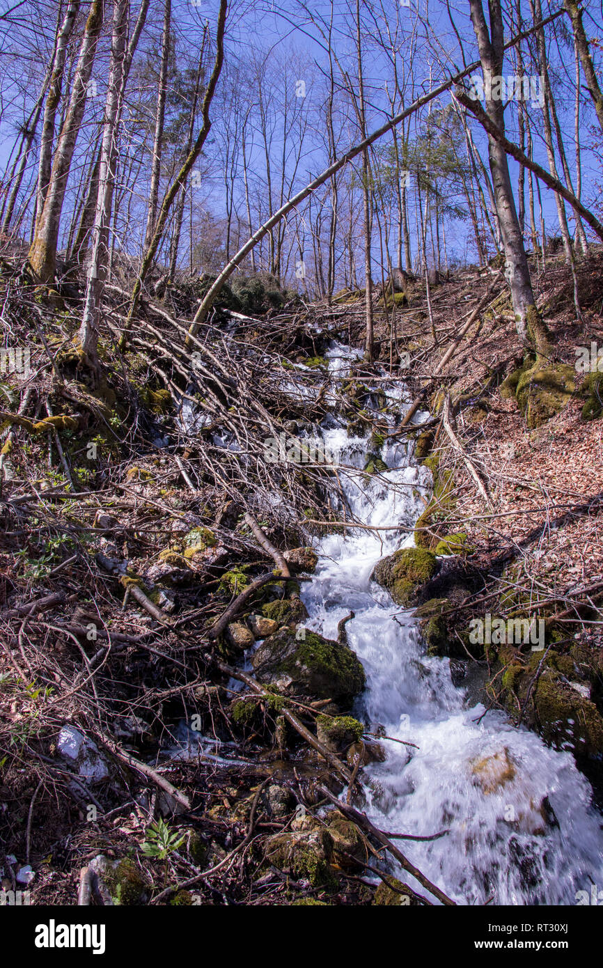 Fallen Tree Flowing Stream Stock Photo - Alamy