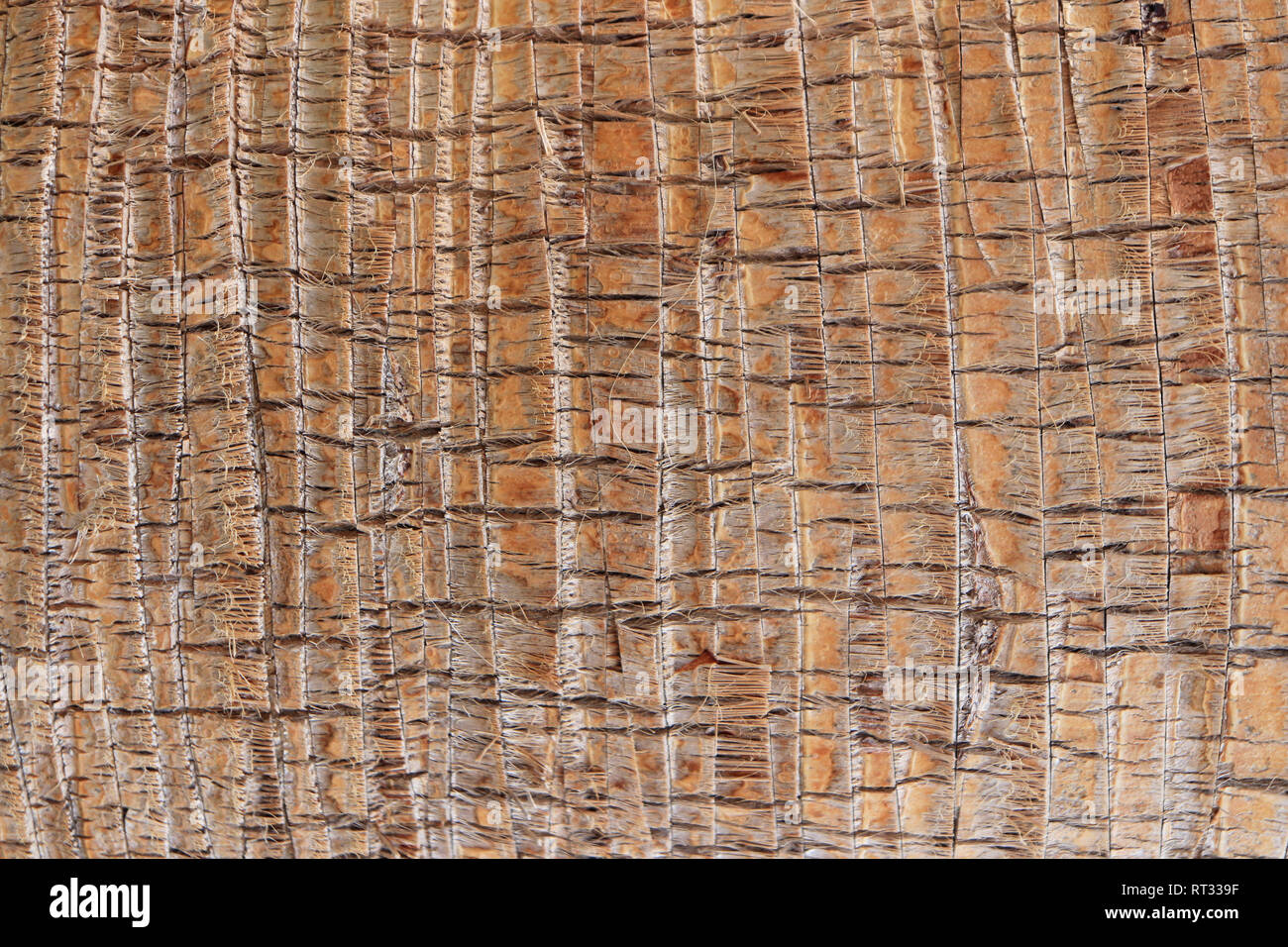 Exotic wood texture hi-res stock photography and images - Alamy