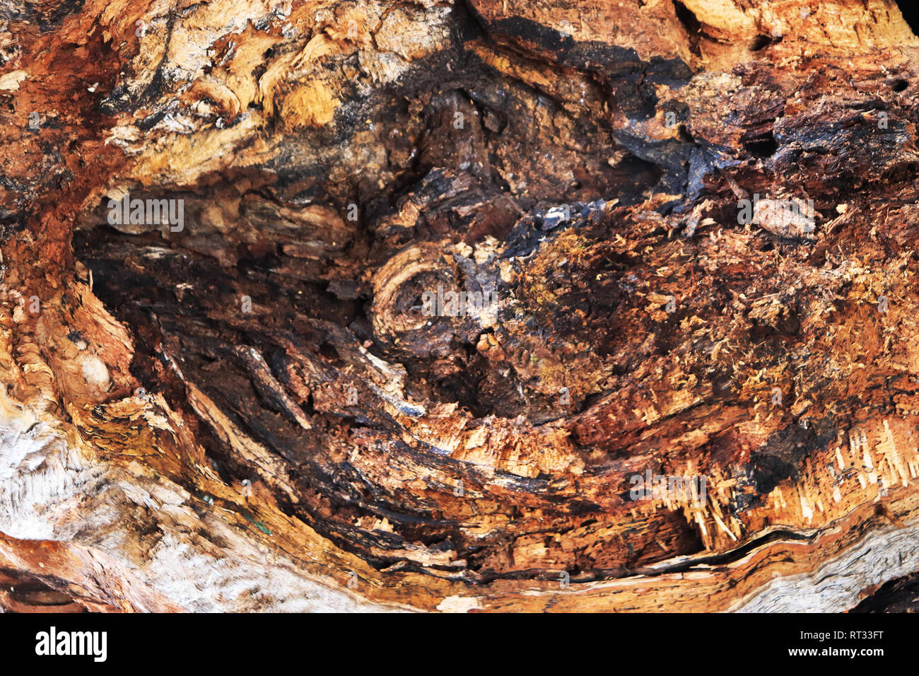 Weathered wood texture. Old wooden surface background Stock Photo - Alamy