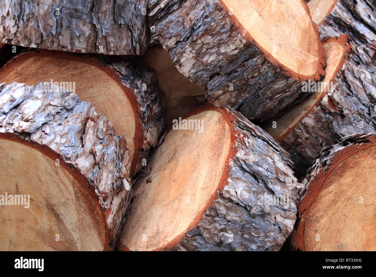 Timber pieces hi-res stock photography and images - Alamy
