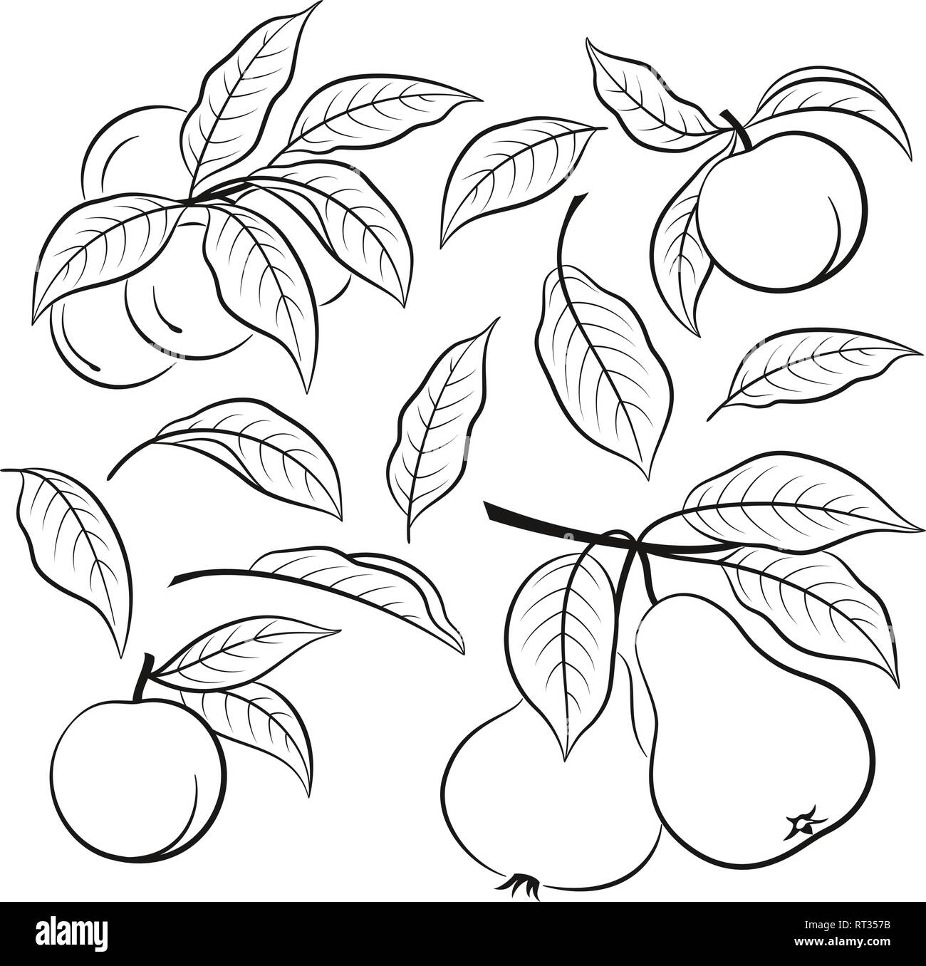 Set of Fruit Pictograms Stock Vector Image & Art - Alamy