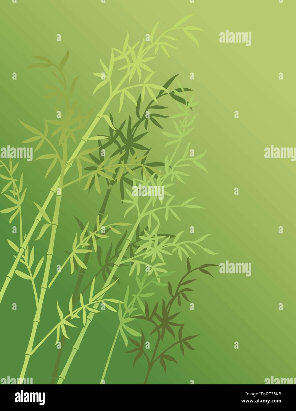 Bamboo forest drawing Stock Vector Images - Alamy