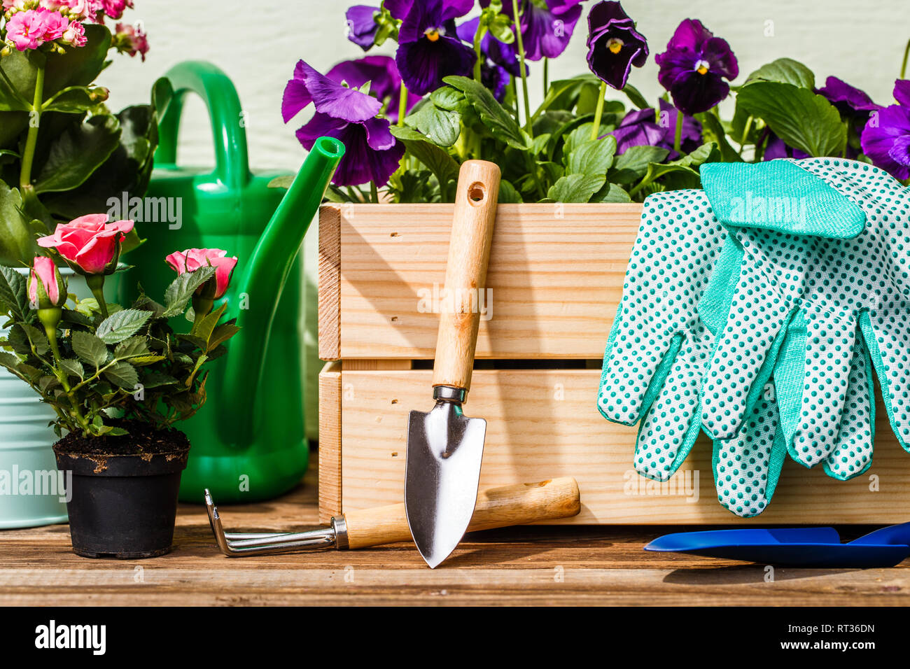 Gardening tools and flowers Stock Photo - Alamy