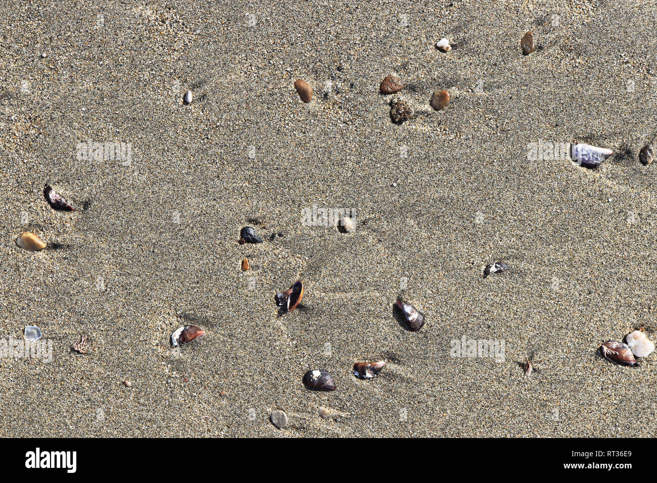 Rare pebble background. Different stones with stains on the wet sand ...