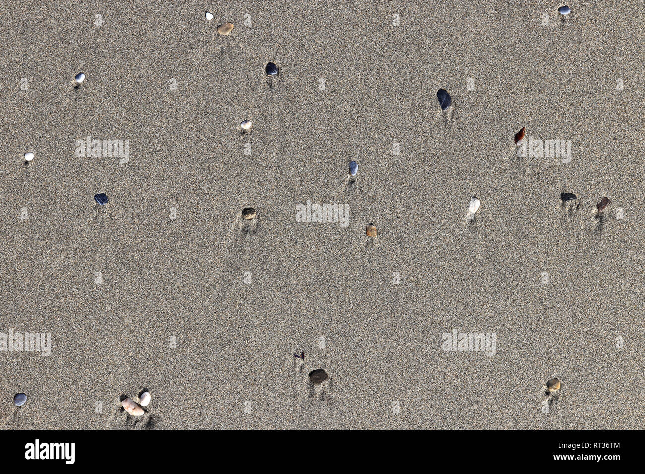 Rare pebble background. Different stones with stains on the wet sand ...