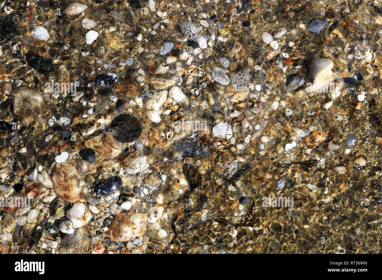 Marine water quality hi-res stock photography and images - Alamy