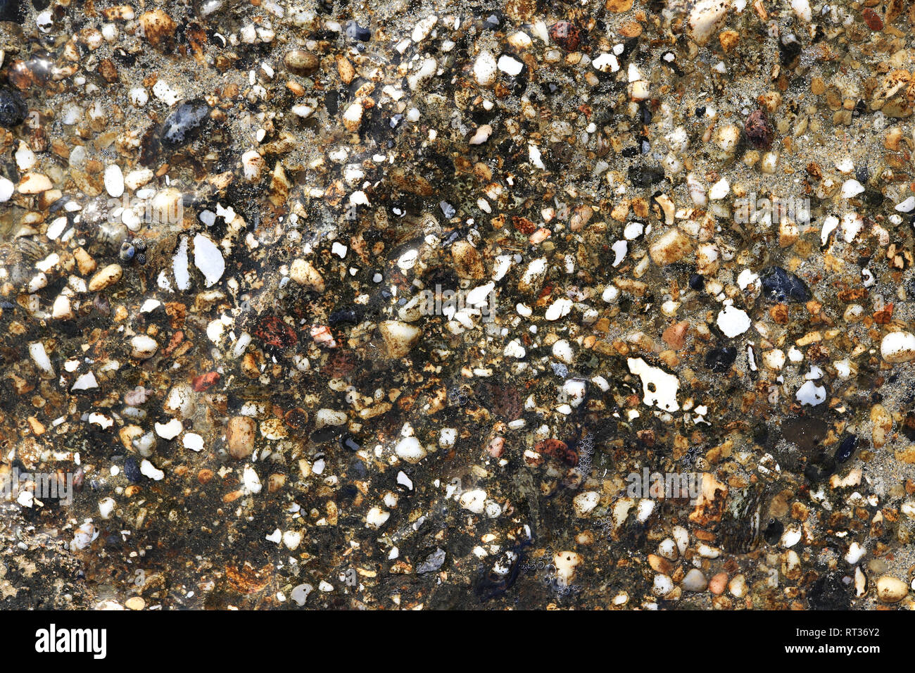 Sea stones cliff surface texture. Rough marine mineral background Stock ...