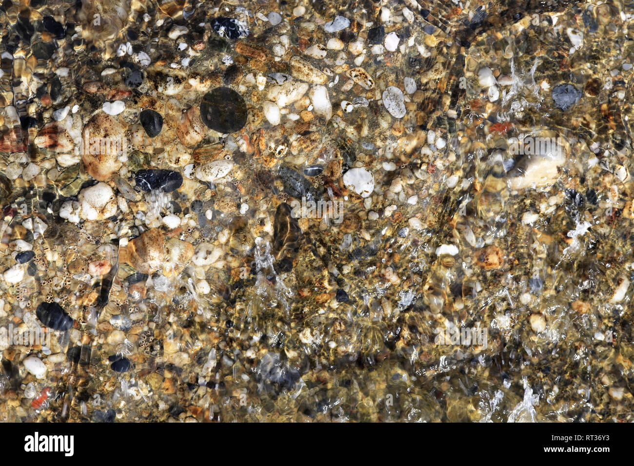 Under the sea pattern hi-res stock photography and images - Alamy