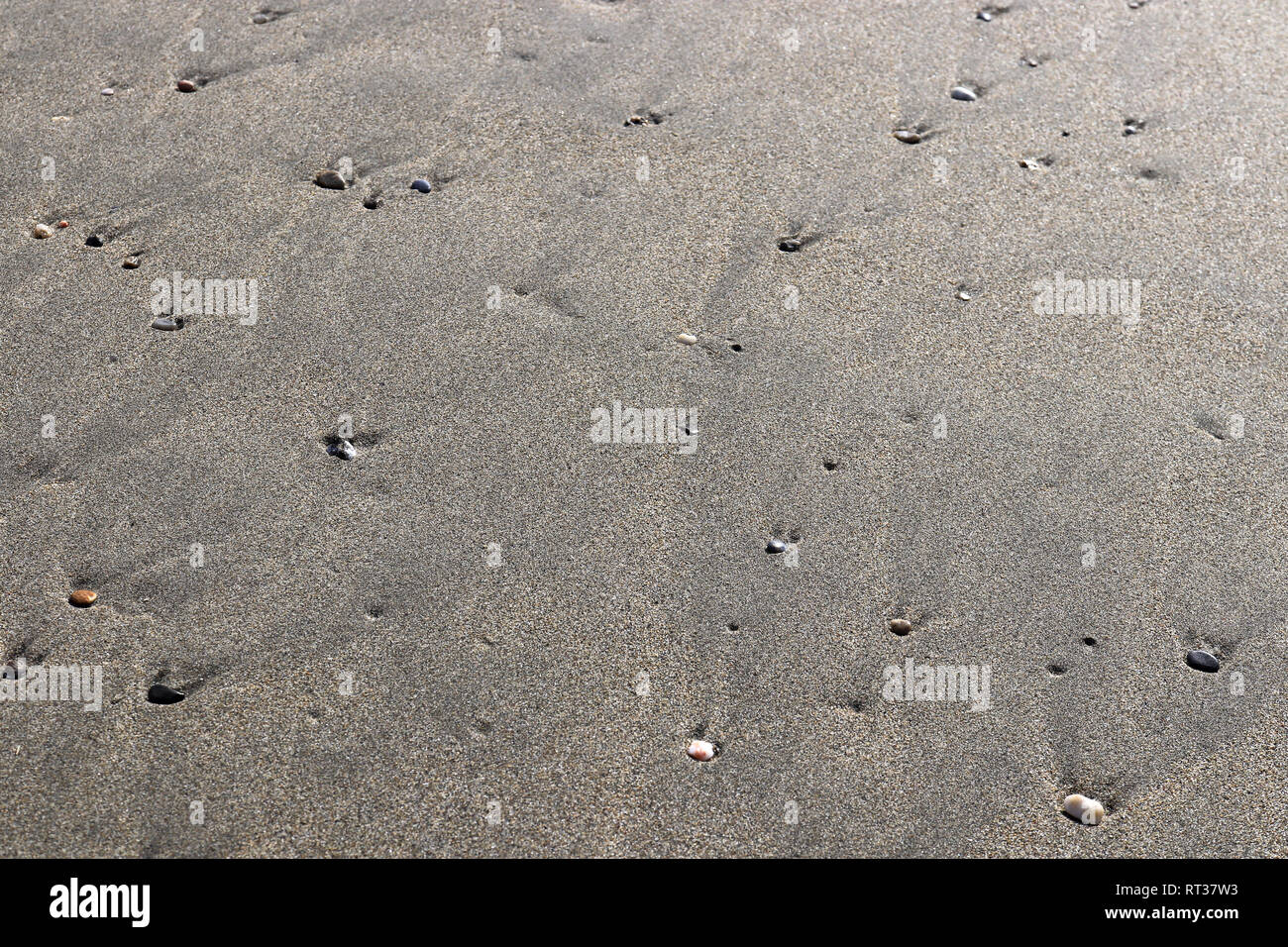 Rare pebble background. Different stones with stains on the wet sand ...