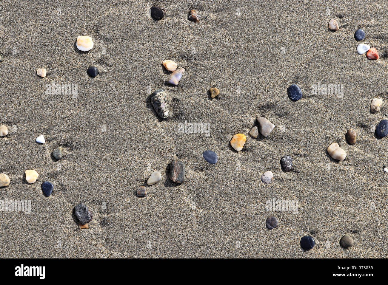 Different stones on the wet sand. Rare pebble background. Beach beauty ...