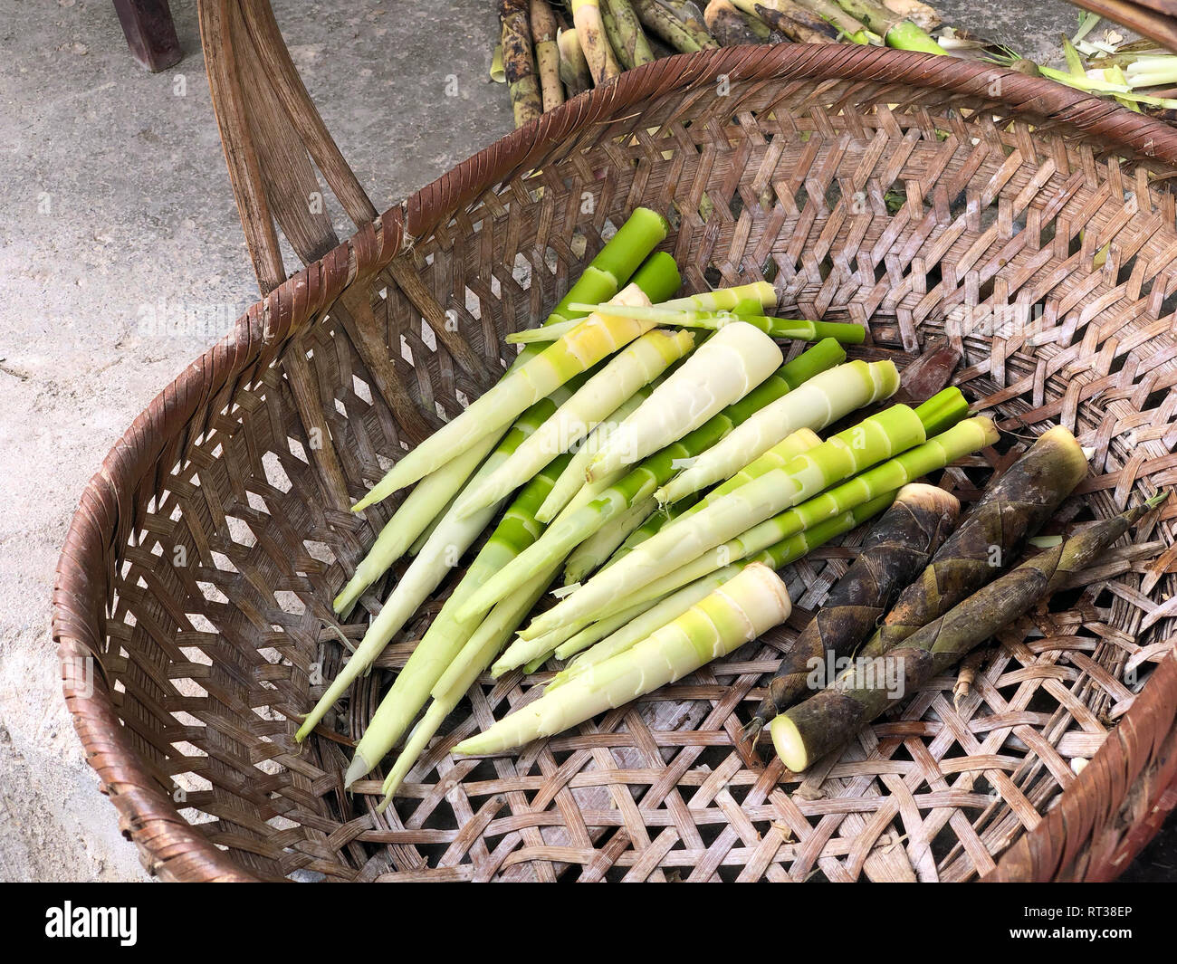 Bamboo bamboo shoot basket hi-res stock photography and images - Alamy