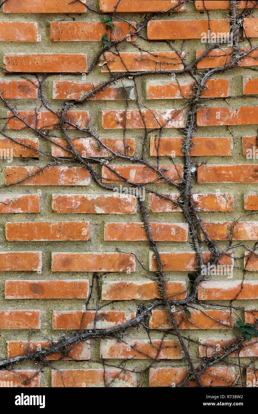 Abstract brick backgrounds hi-res stock photography and images - Alamy