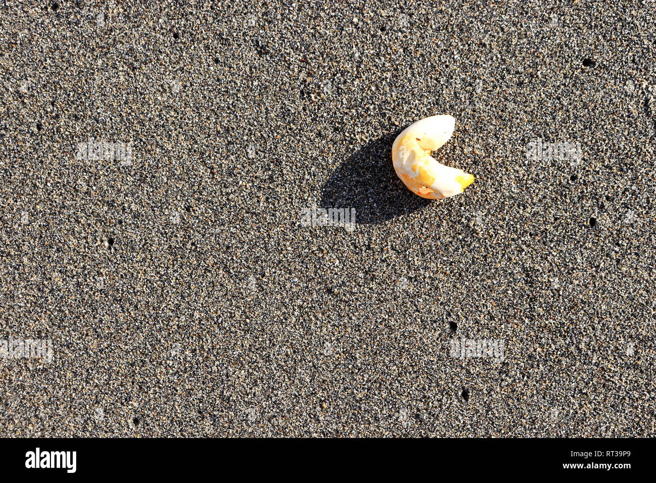 Sea item on the sand texture. Summer beach background Stock Photo - Alamy