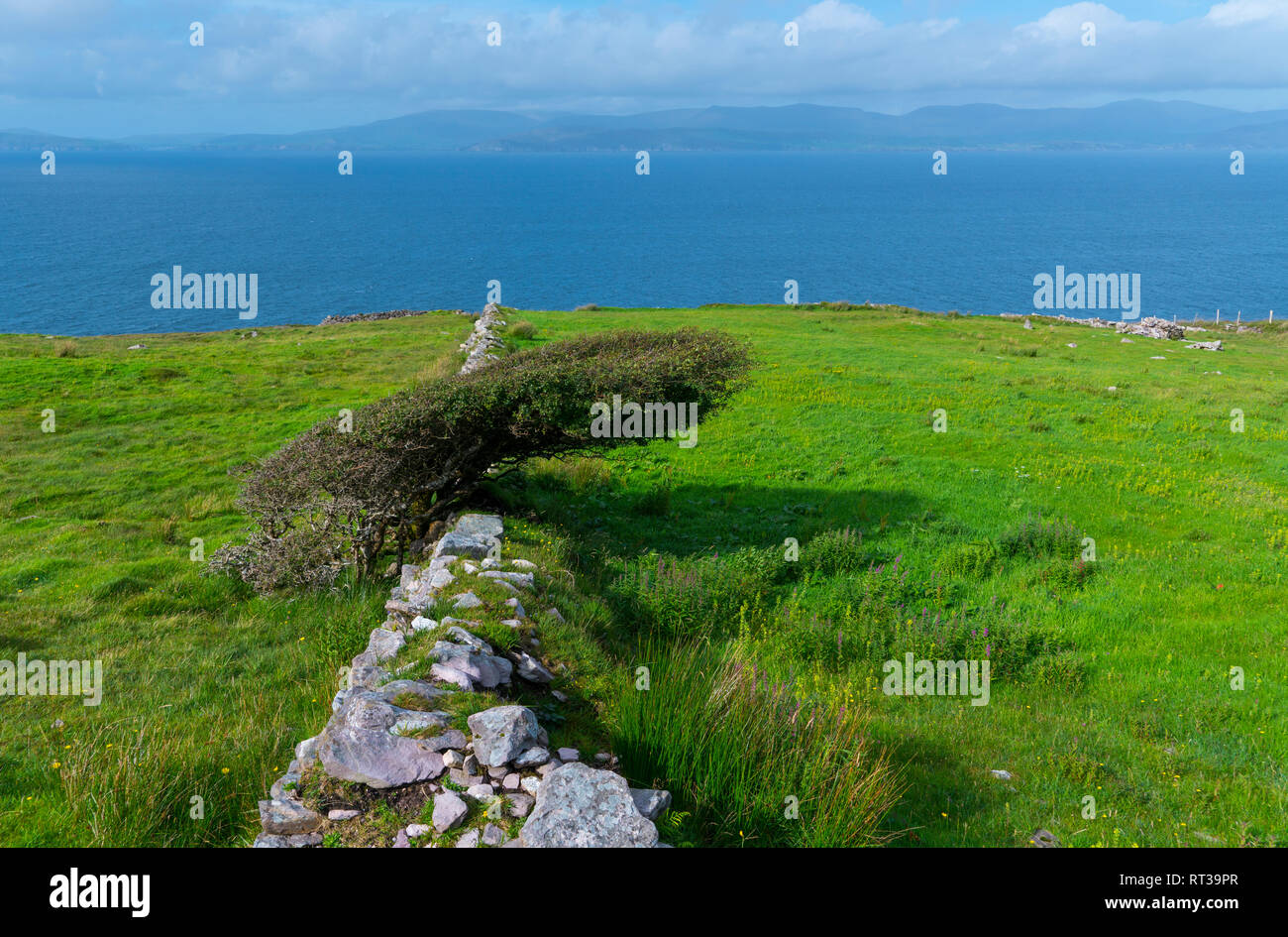 Kells Seaside Area, Ring of Kerry, Iveragh Peninsula, County Kerry ...