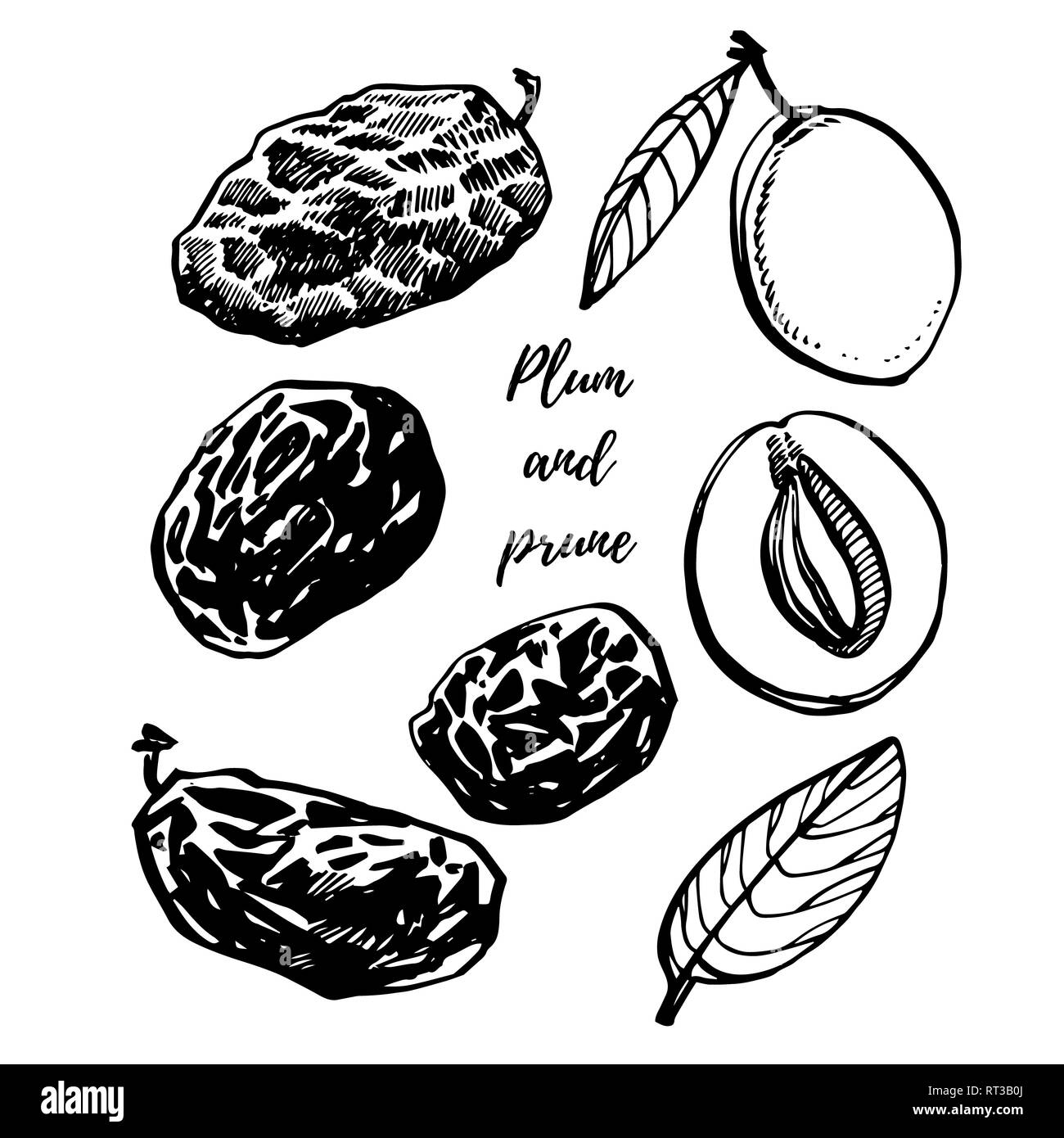 Nuts gourmet Black and White Stock Photos & Images - Alamy