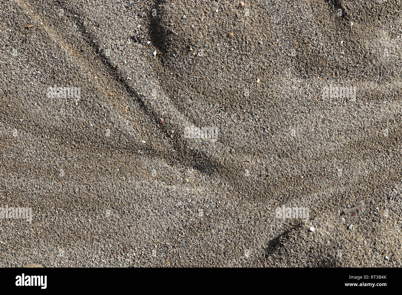 Sandy paper texture hi-res stock photography and images - Alamy