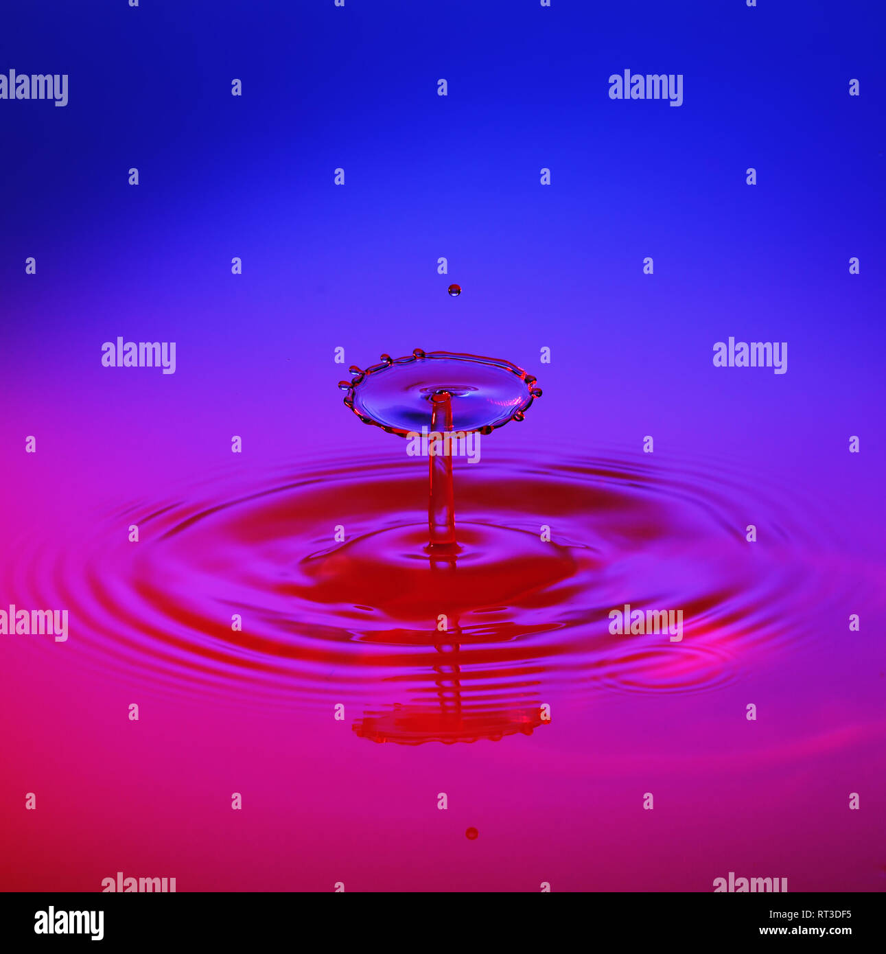 Strong colours hi-res stock photography and images - Alamy