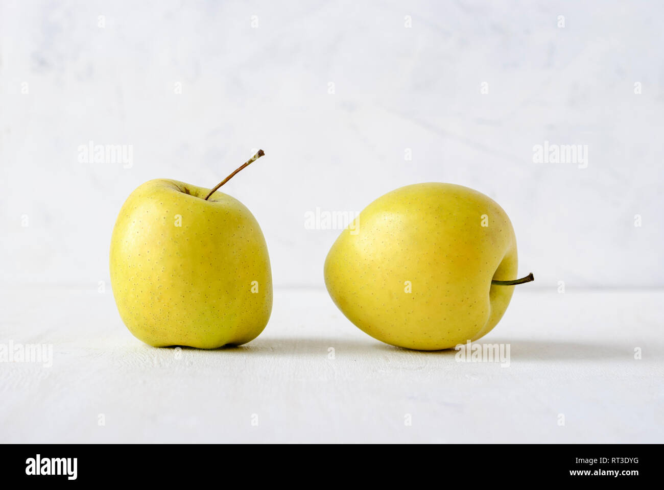 Two ugly misshapen golden fresh apples viewed side by side low angle on ...