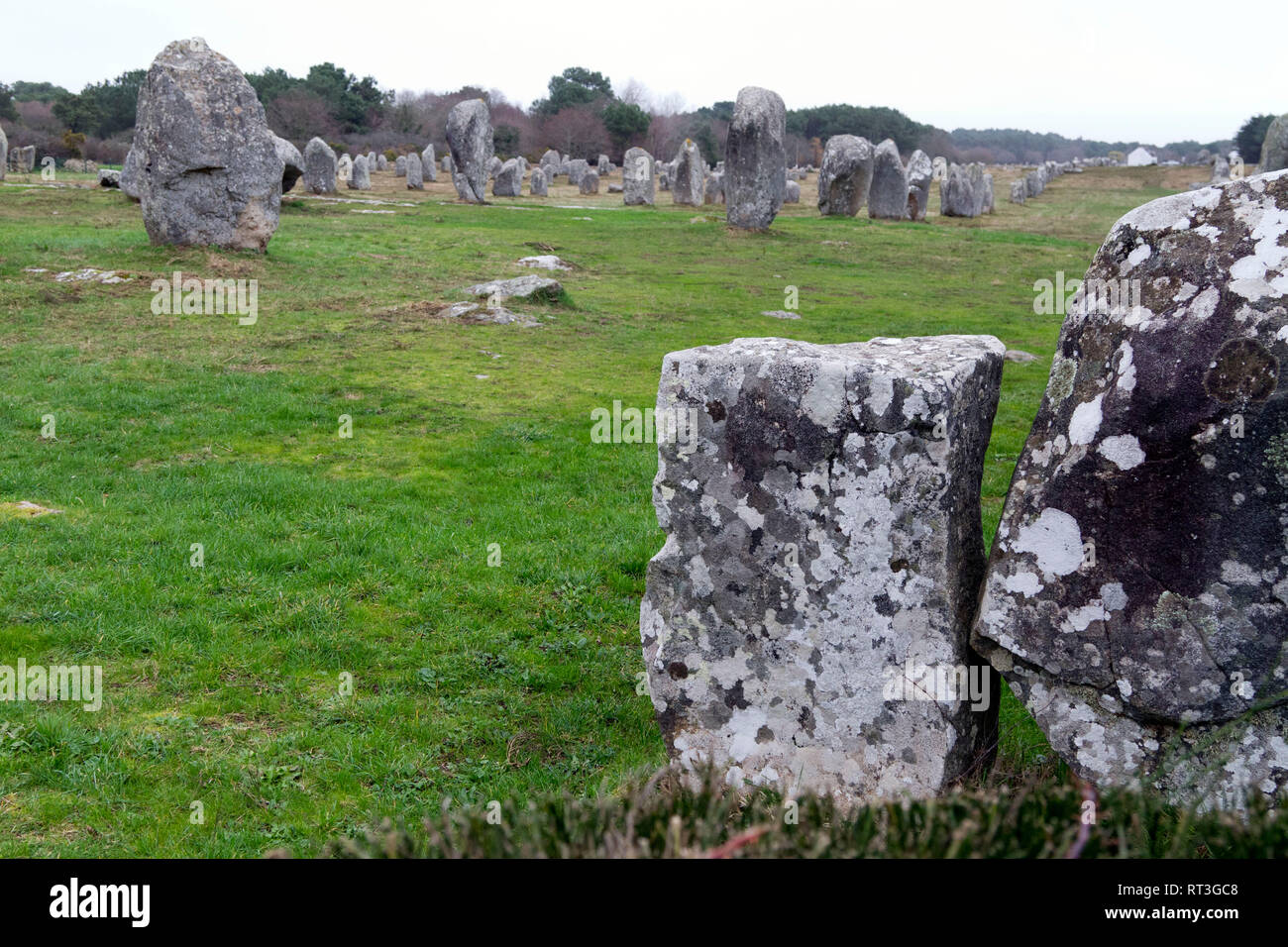 Standing stones ,Megalithic site of Carnac (Morbihan, Brittany ,France ...
