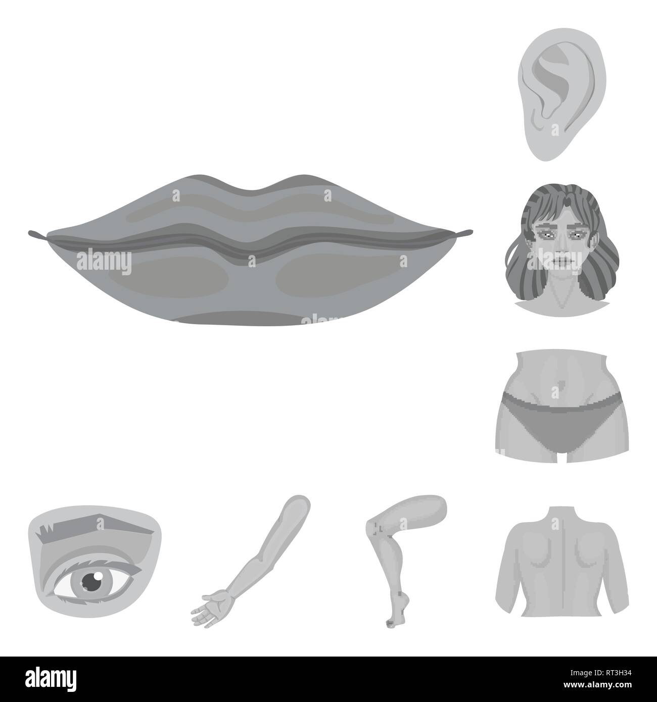 Isolated object of body and part symbol. Set of body and anatomy stock ...