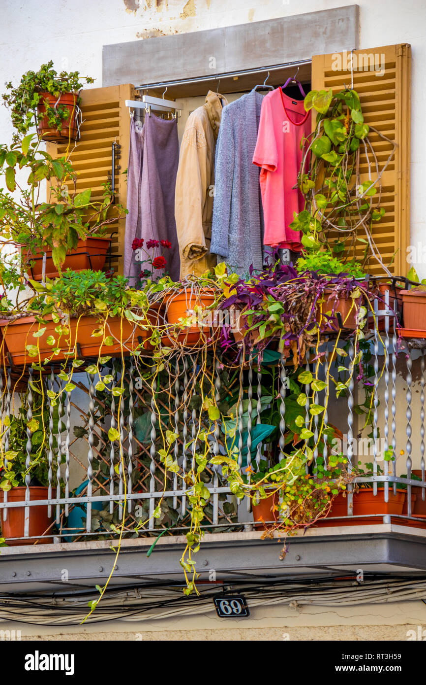 overgrown balcony in Santa Catalina quarter of Palma de Mallorca ...