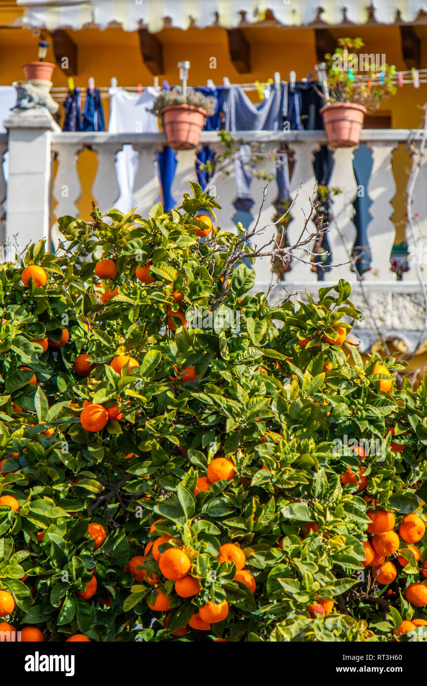 Mallorca palma old town hi-res stock photography and images - Alamy