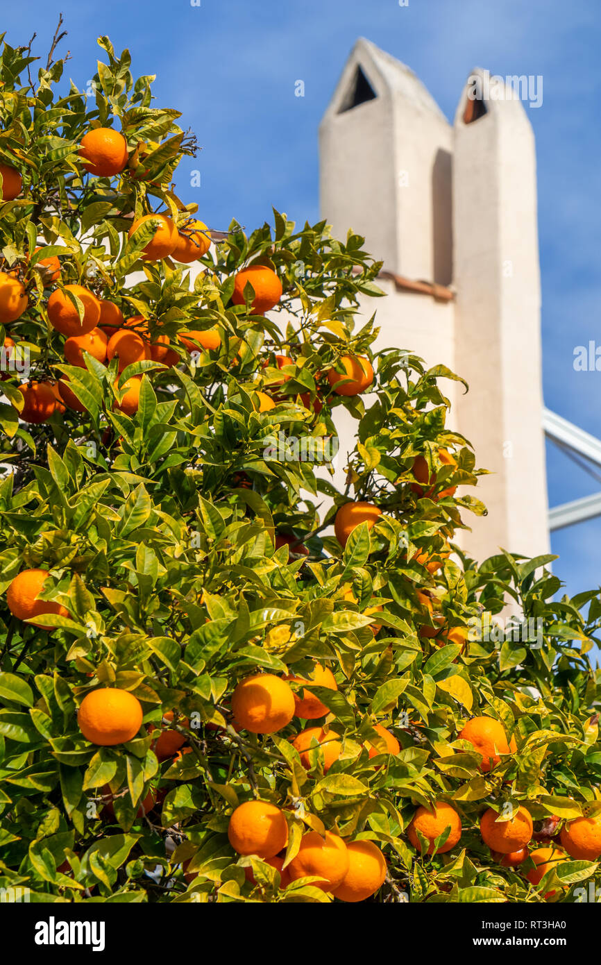 Orange tree and modern mediterranean chimney Stock Photo - Alamy