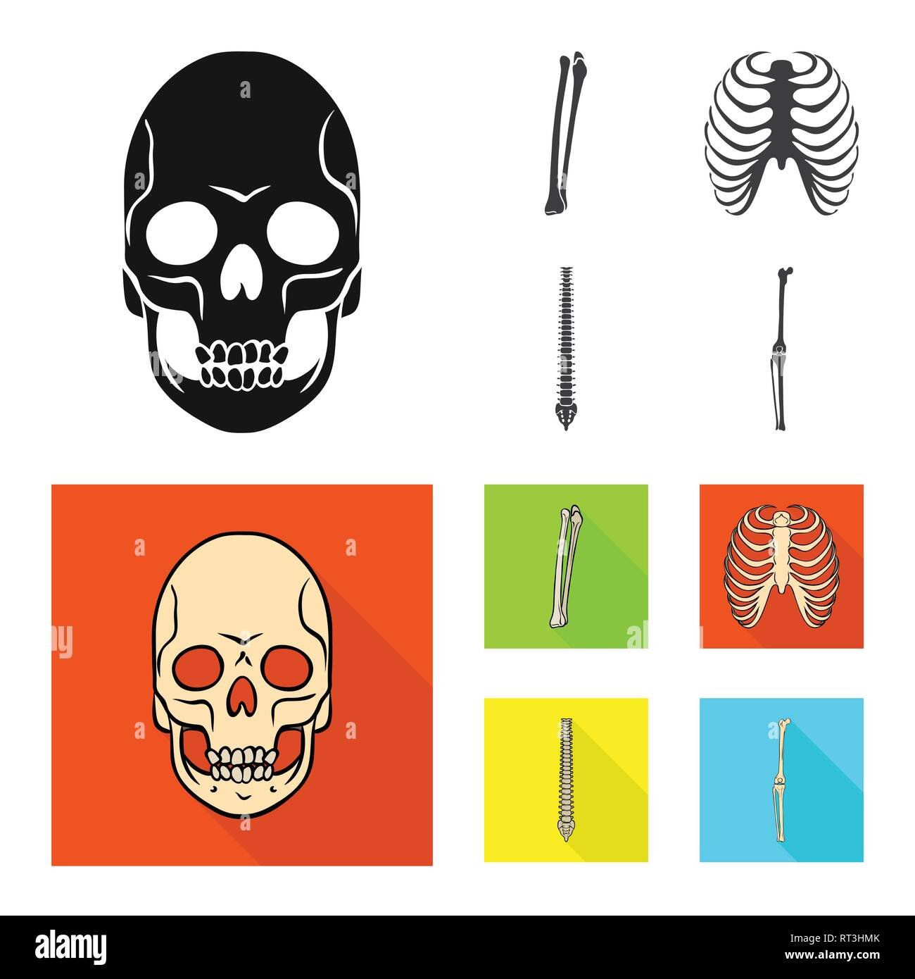 Spinal alignment Stock Vector Images - Alamy