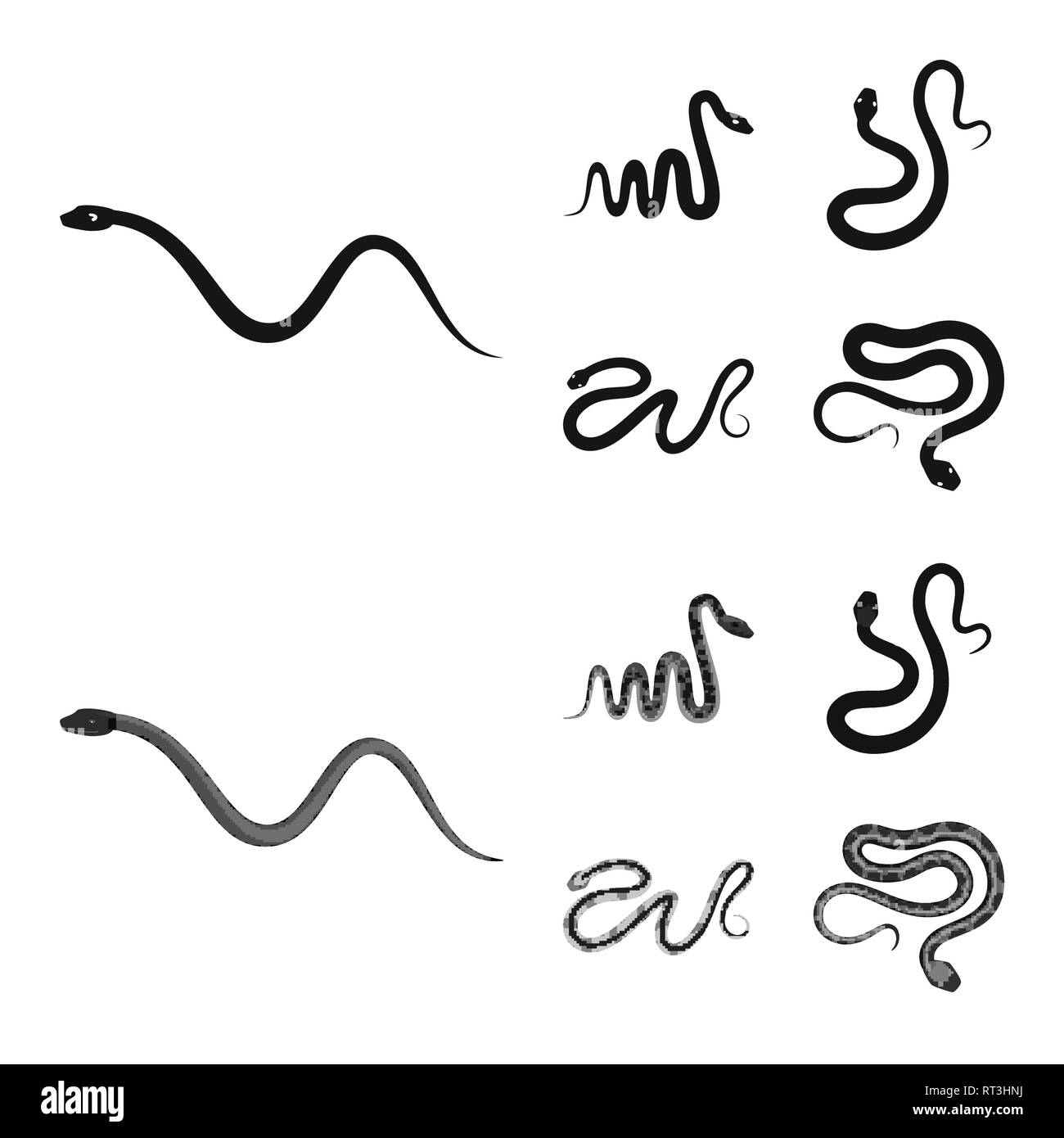 snake,viper,tail,python,spiral,jungle,forest,large,brazil,seamless ...